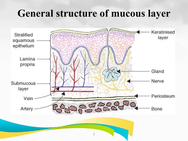Mucoadhesive drug delivery system | PPT | Chemistry | Science