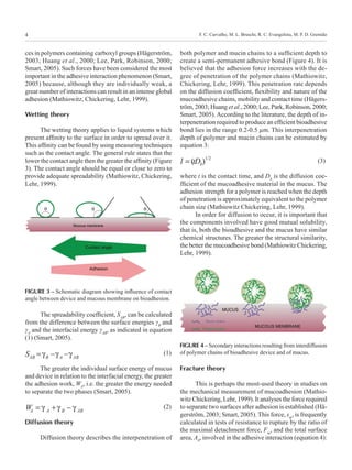 Mucoadhesive theories | PDF