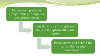 Mucociliary Pathway and Principles of FESS | PPTX
