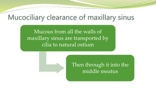 Mucociliary Pathway and Principles of FESS | PPTX