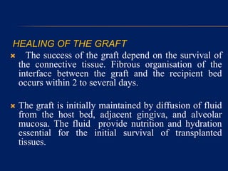 mucogingival surgeries.pptx
