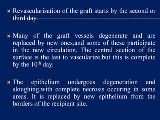 mucogingival surgeries.pptx