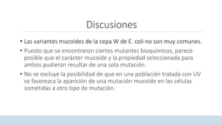 Mucoid mutants of escherichia coli | PPTX