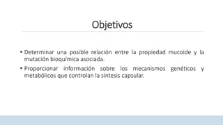 Mucoid mutants of escherichia coli | PPTX