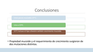 Mucoid mutants of escherichia coli | PPTX