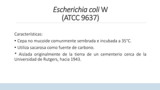Mucoid mutants of escherichia coli | PPTX