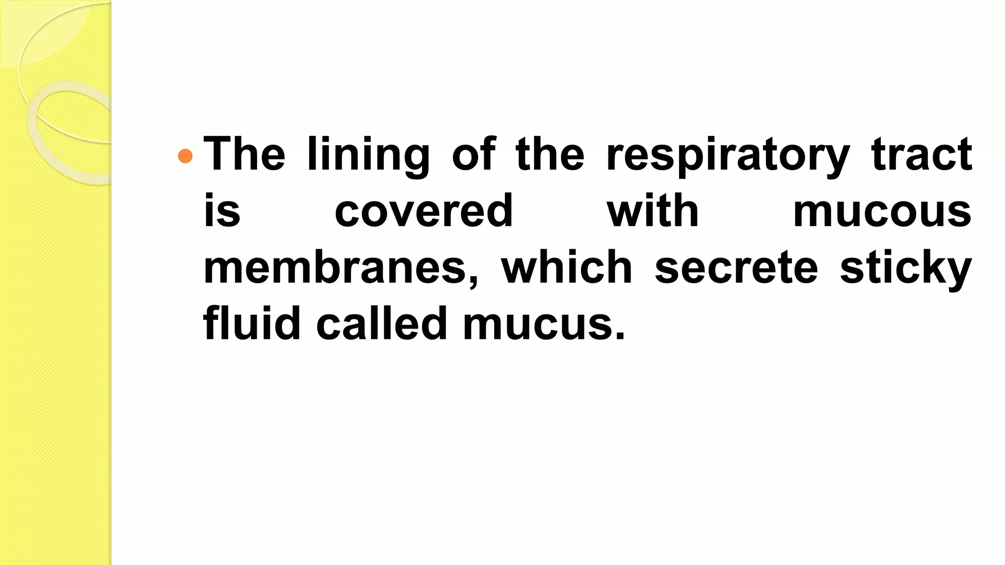 Mucolytic Drugs | PPTX