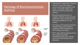Mucolytics,Decongestants,Expectorants,Antitussives & Bronchodialators.pptx