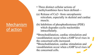 Mucolytics,Decongestants,Expectorants,Antitussives & Bronchodialators.pptx