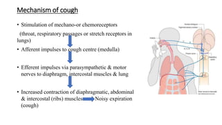 Mucolytics,Decongestants,Expectorants,Antitussives & Bronchodialators.pptx