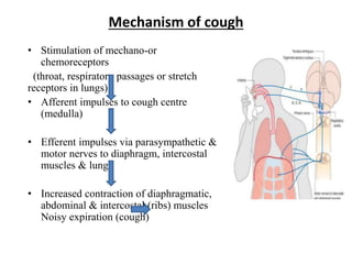 Mucolytics, Expectorants, Antitussives & Bronchodialators.pptx
