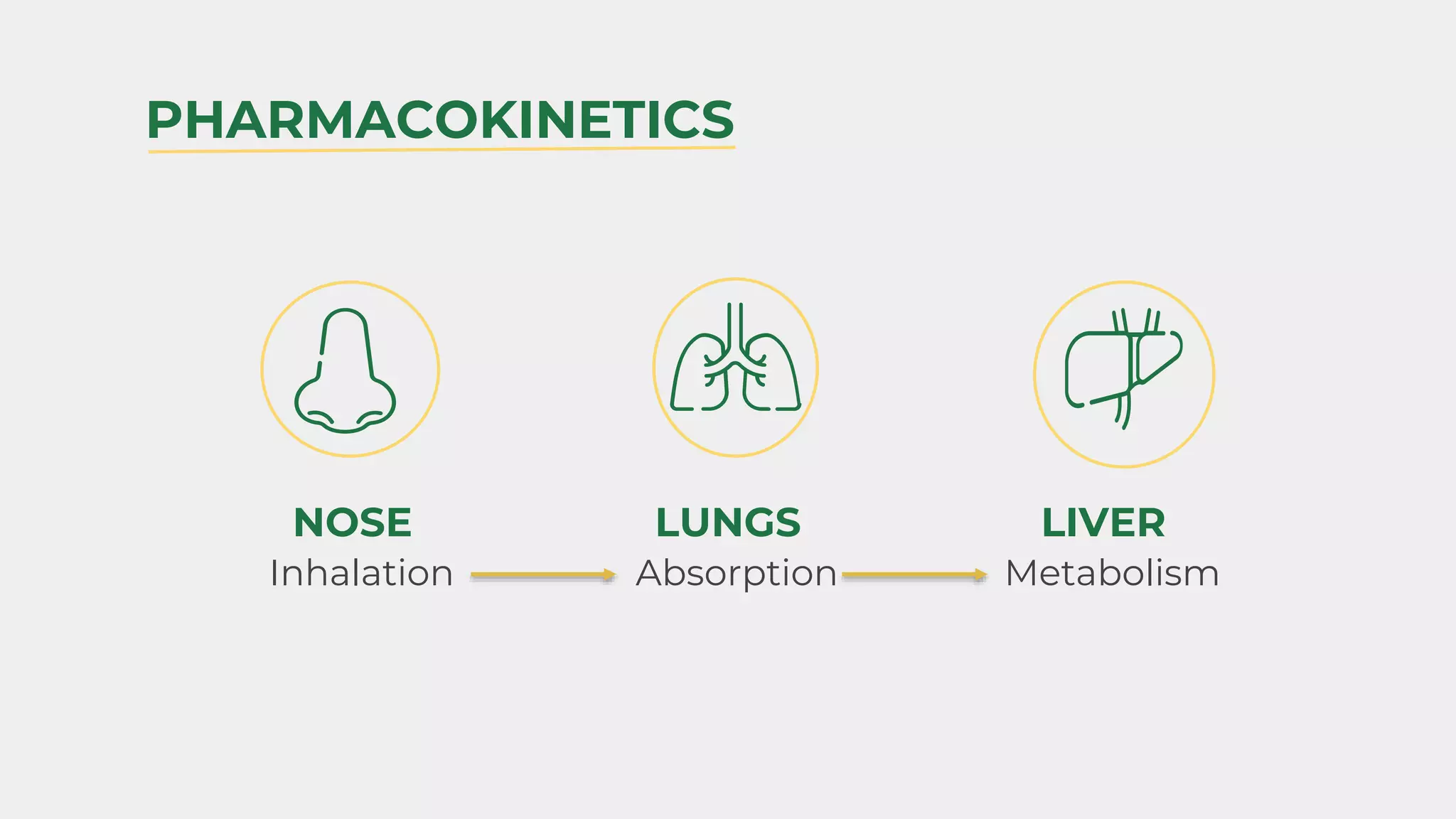 Mucolytics pharmacology | PPTX