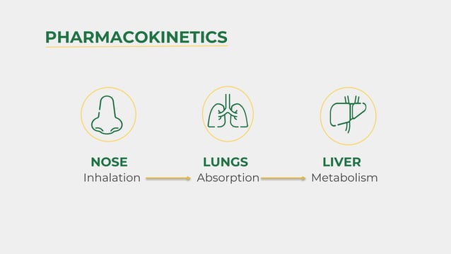 Mucolytics pharmacology | PPTX | Lung and Respiratory Health | Diseases ...