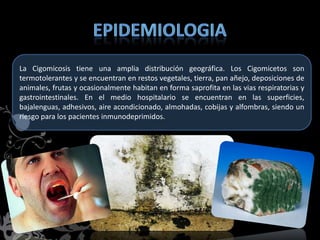 MUCORMICOSIS | PPTX