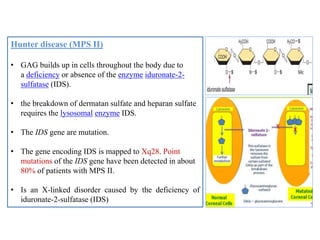 Mucopolysaccharidosis | PPTX