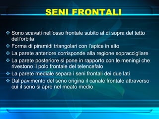 Mucormicosi | PPT