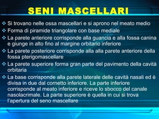 Mucormicosi | PPT