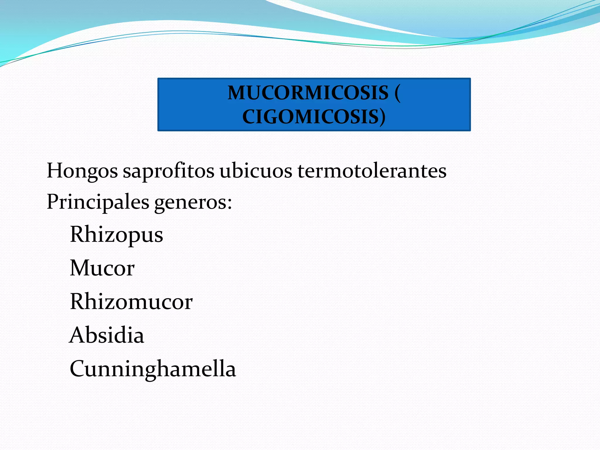 Mucormicosis (cigomicosis) luis r. | PPT