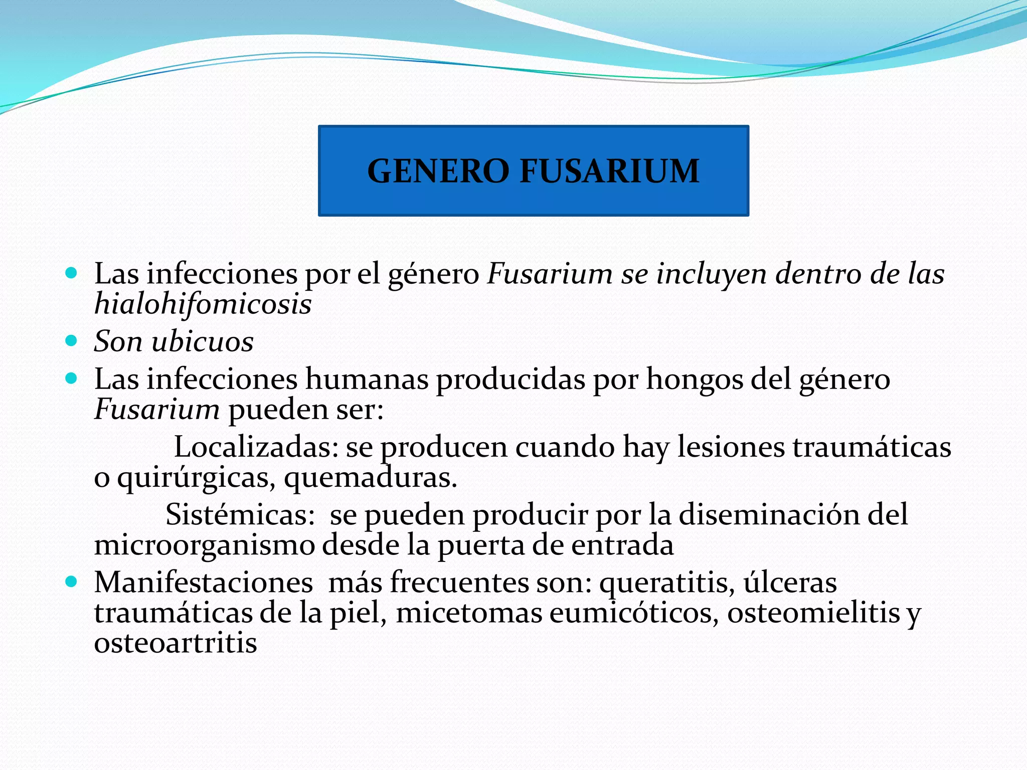 Mucormicosis (cigomicosis) luis r. | PPT