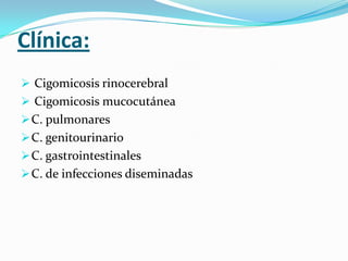 Mucormicosis (cigomicosis) luis r. | PPTX