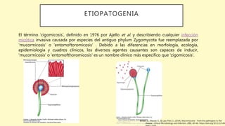 Mucormicosis | PPTX