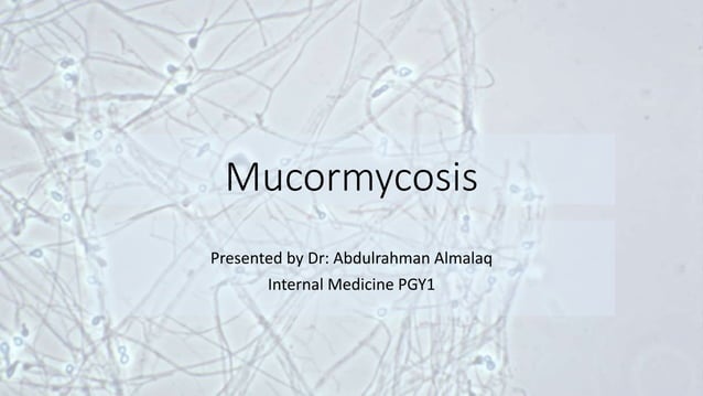 Mucormycosis | PPTX