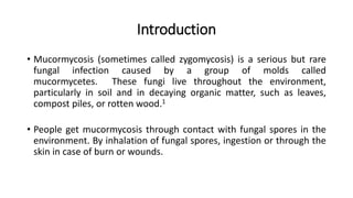 Mucormycosis | PPTX