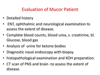 Mucormycosis | PPT