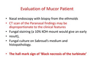 Mucormycosis | PPTX