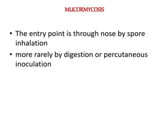 Mucormycosis | PPT
