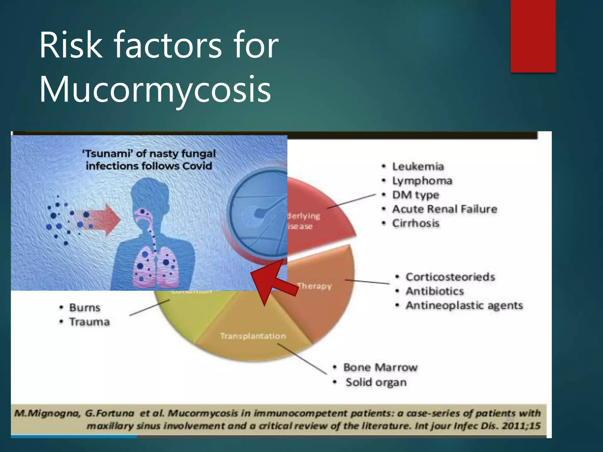 Mucormycosis | PPTX