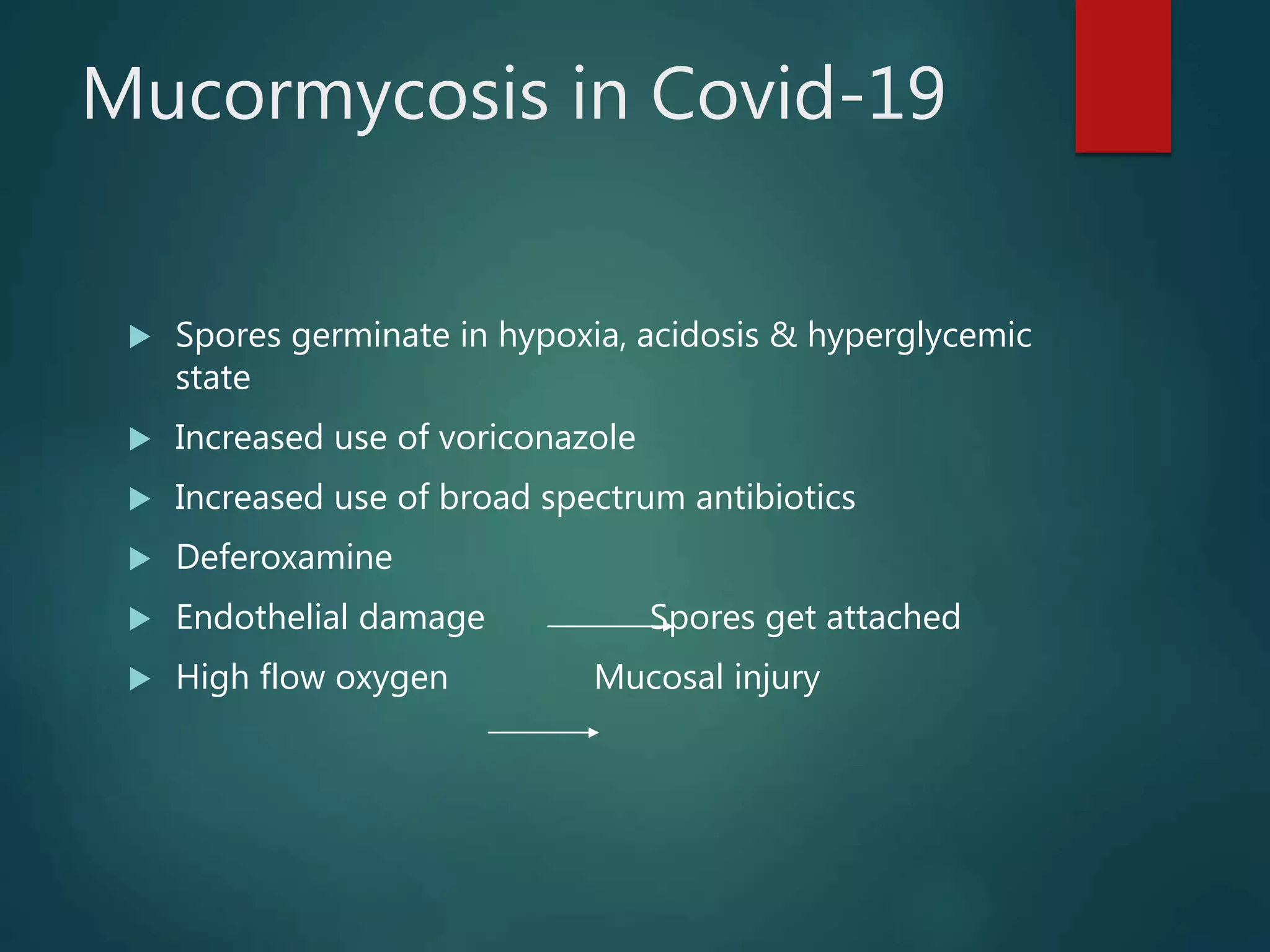 Mucormycosis | PPTX