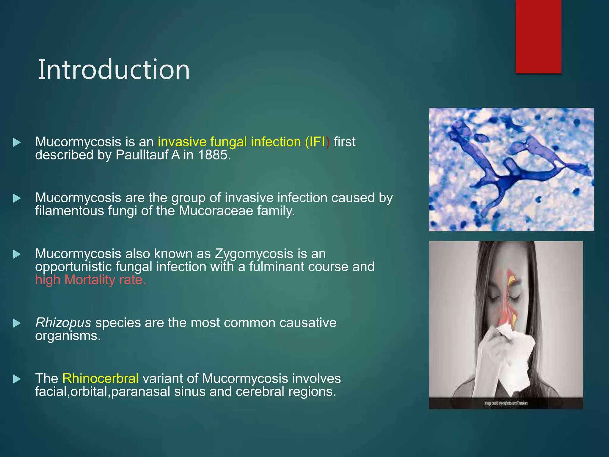Mucormycosis | PPTX | Lung and Respiratory Health | Diseases and Conditions