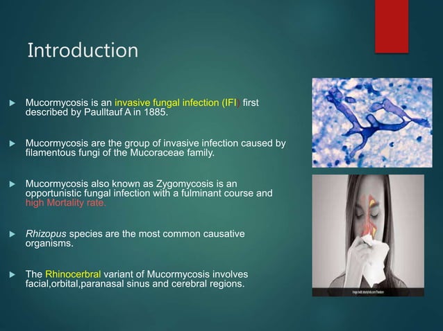 Mucormycosis | PPTX | Lung and Respiratory Health | Diseases and Conditions
