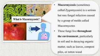 Mucormycosis | PPTX