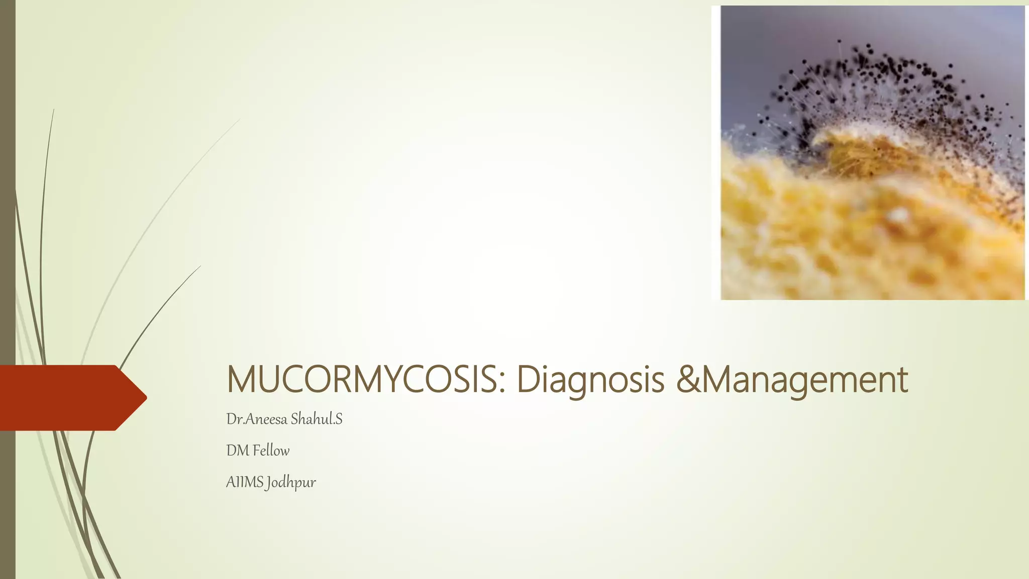 Mucormycosis | PPTX