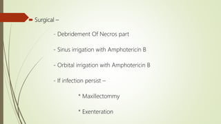 Mucor mycosis | PPTX