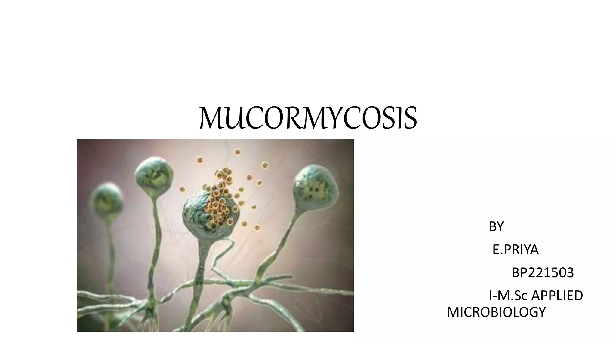 MUCORMYCOSIS.pptx