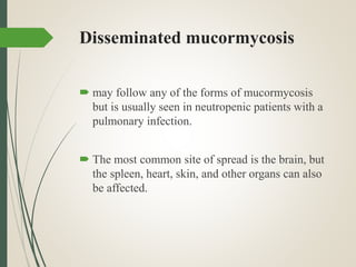 Mucormycosis.pptx