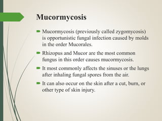 Mucormycosis.pptx