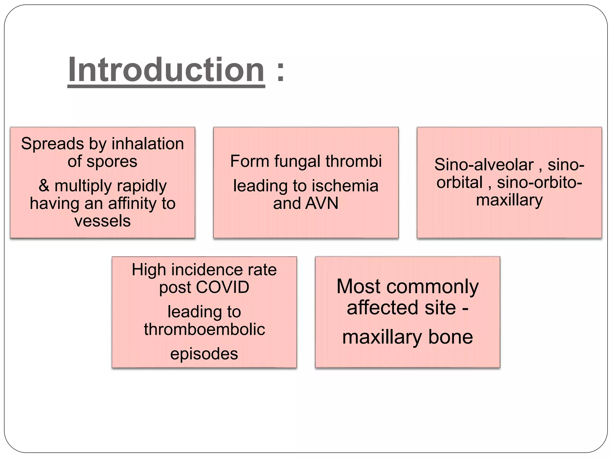 Mucormycosis - Orientation.pptx