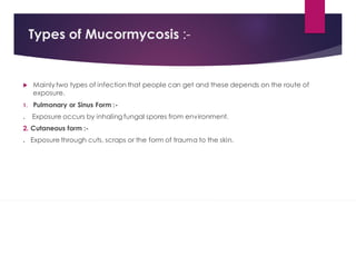 Mucormycosisfumgaldiseasesbyjishukumarsingh | PPT
