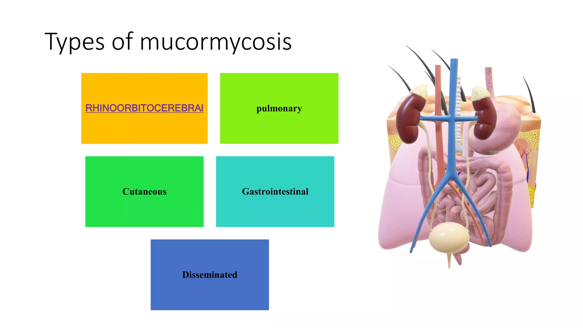 Mucormycosis and its management | PPTX | Ear, Nose and Throat ...