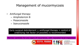 Mucormycosis & The Eye | PPT