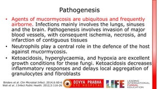 Mucormycosis & The Eye | PPT