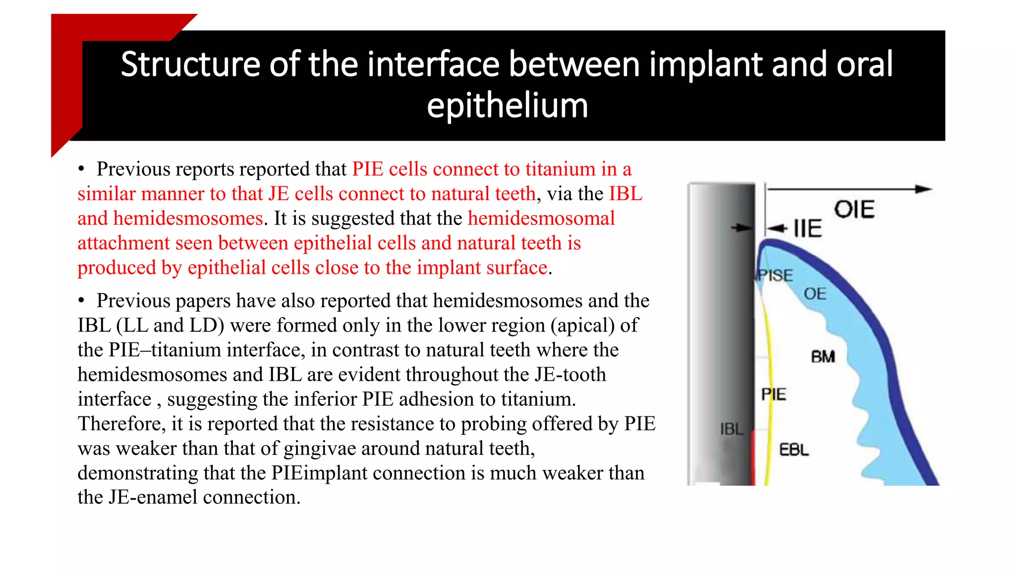 Mucosa- Implant Interface.pptx