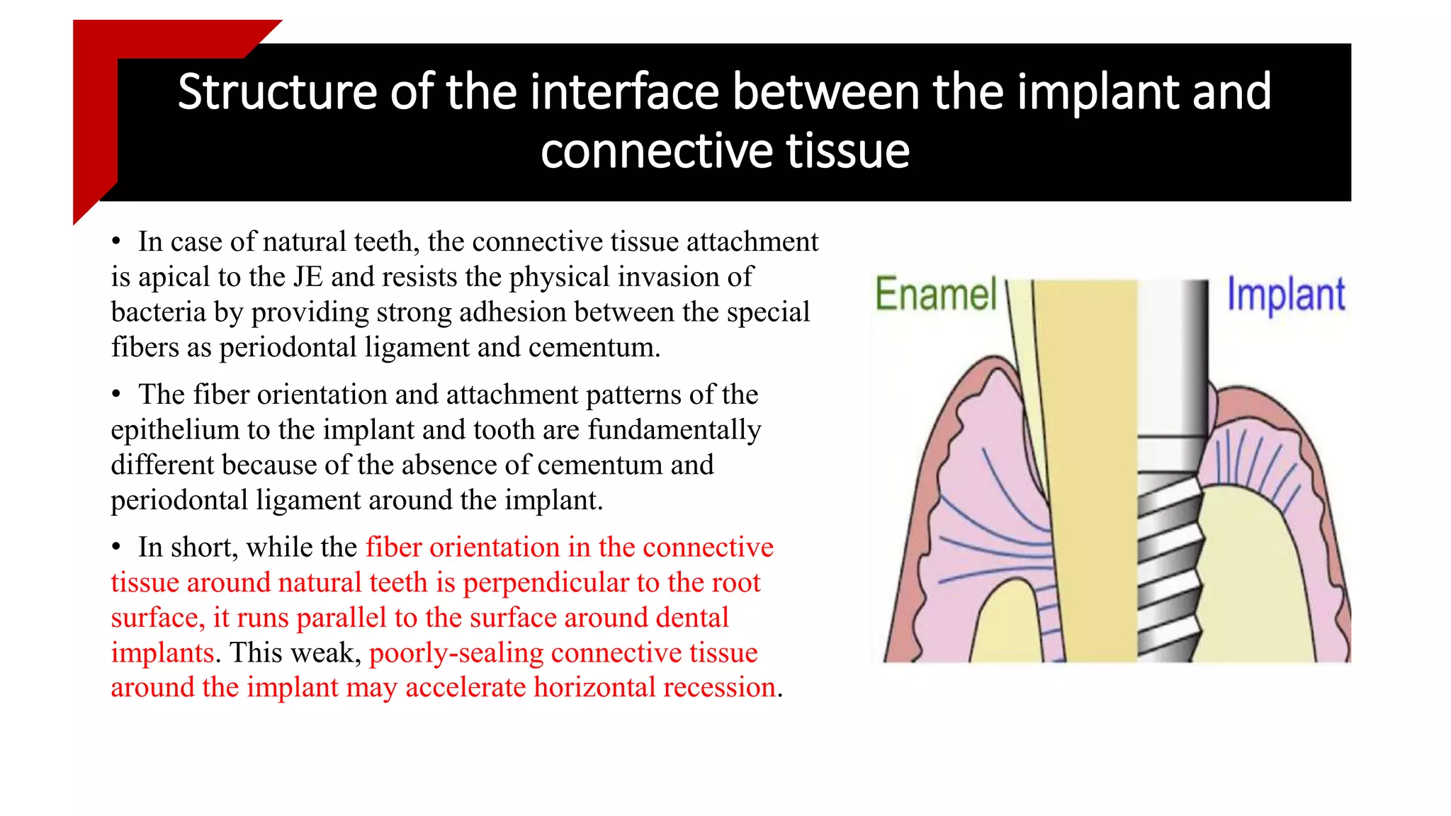Mucosa- Implant Interface.pptx
