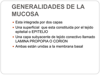 Mucosa bucal | PPTX