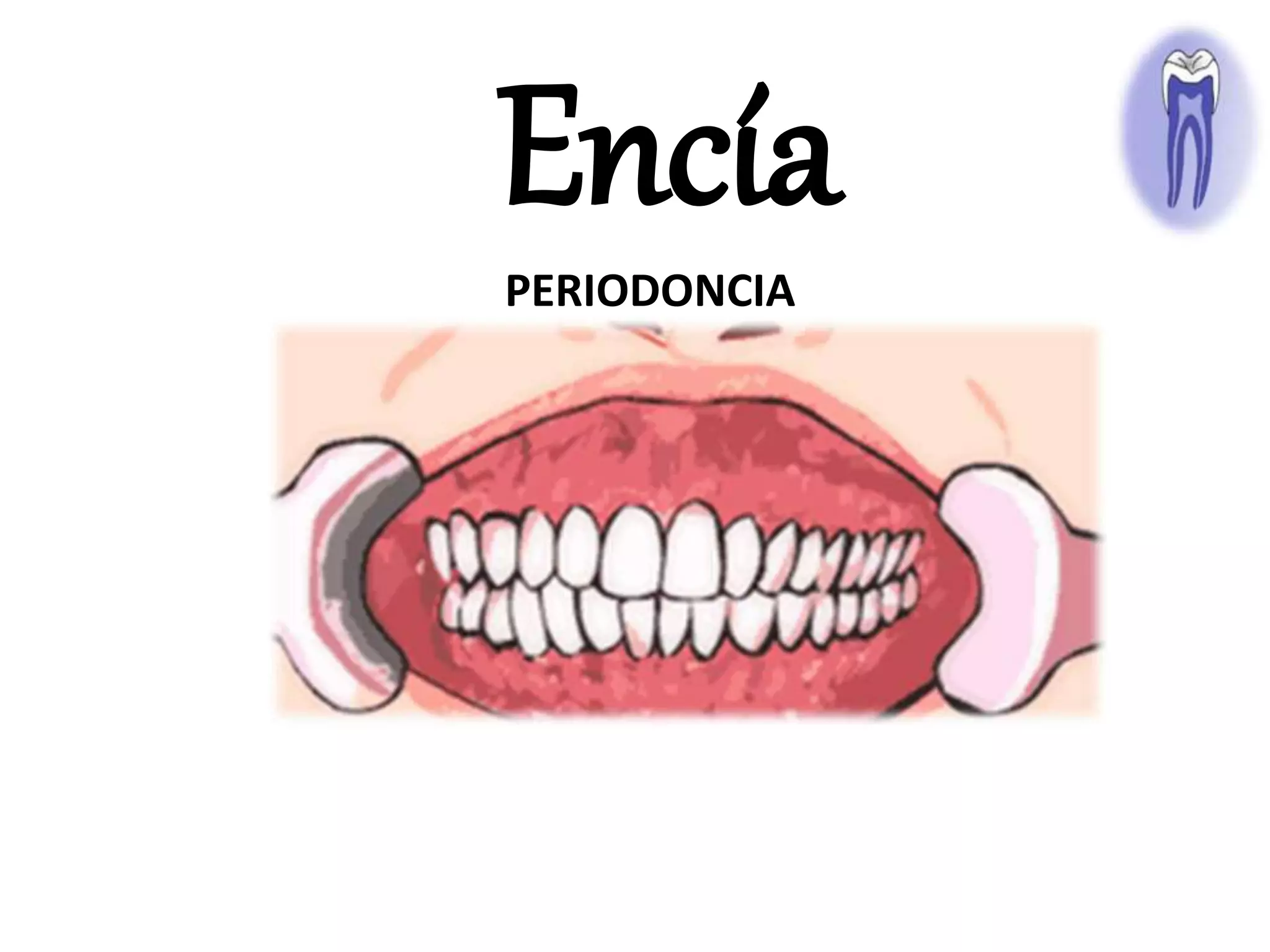 Mucosa bucal | PPTX