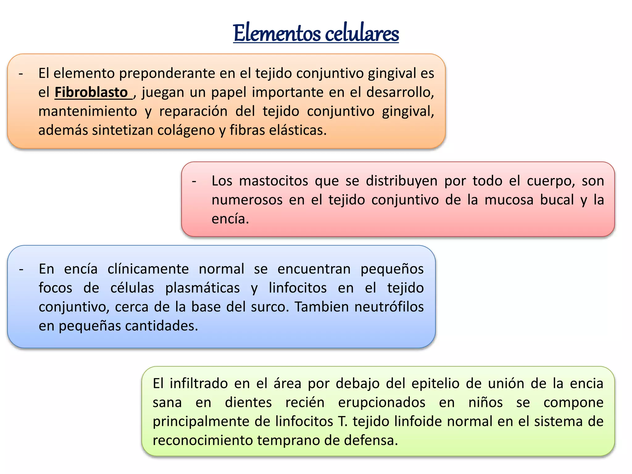 Mucosa bucal | PPTX